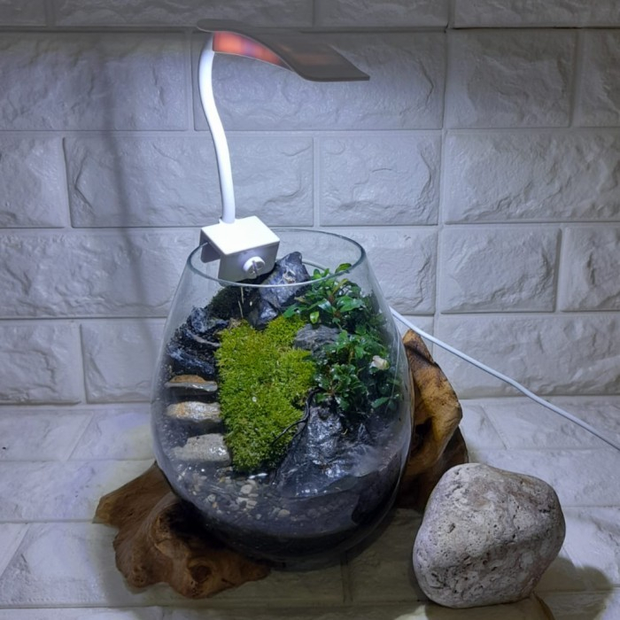 Jual LED Lampu Aquarium Bulat Lampu Akuarium Aquascpae 5W Putih Biru ...