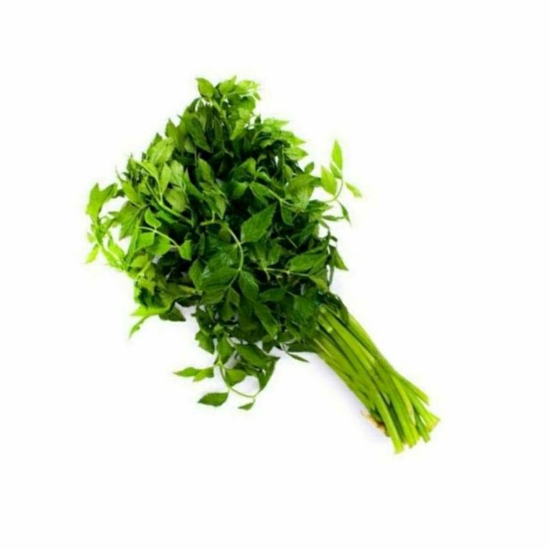 Jual Tespong / seladren segar | Shopee Indonesia