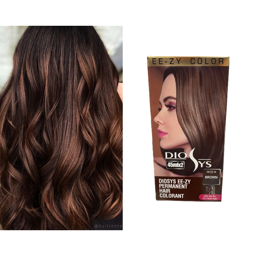 Jual Diosys Eezy Permanent Hair Colorant 45ml x 2 Brown 04 | Shopee ...