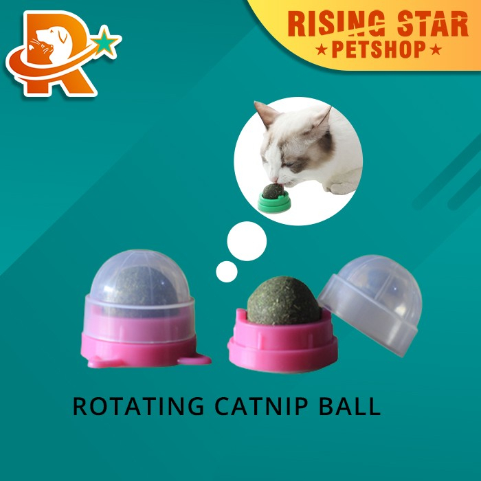 Jual Mainan Kucing Cat toys Bola Catnip Ball | Shopee Indonesia Jual Mainan Kucing Cat toys Bola Catnip Ball | Shopee Indonesia