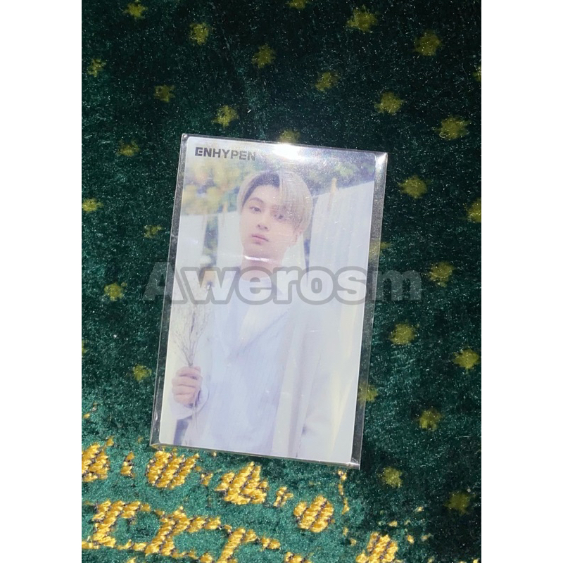 Jual PHOTOCARD PC JAY HAKANAI STD WV UMS SOLJACK POTTER ENHYPEN ...