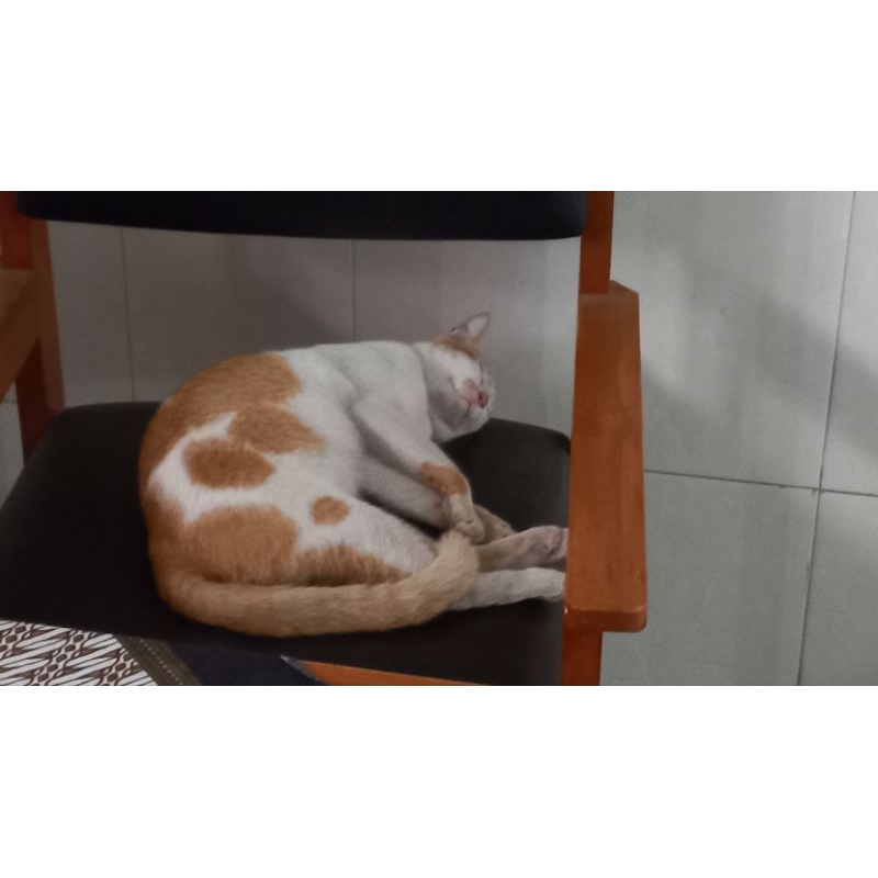 Jual !!!PACKING!!! | Shopee Indonesia