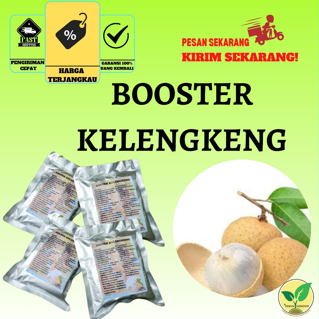 Jual Pupuk Booster Organik Pelebat Buah Kelengkeng dan Perangsang Kelengkeng Agar Cepat Berbuah ...