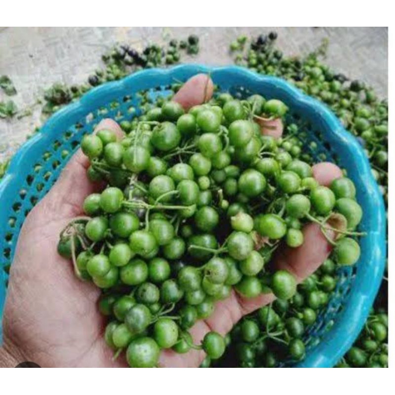 Jual LEUNCA / LENCA PER 1KG | Shopee Indonesia