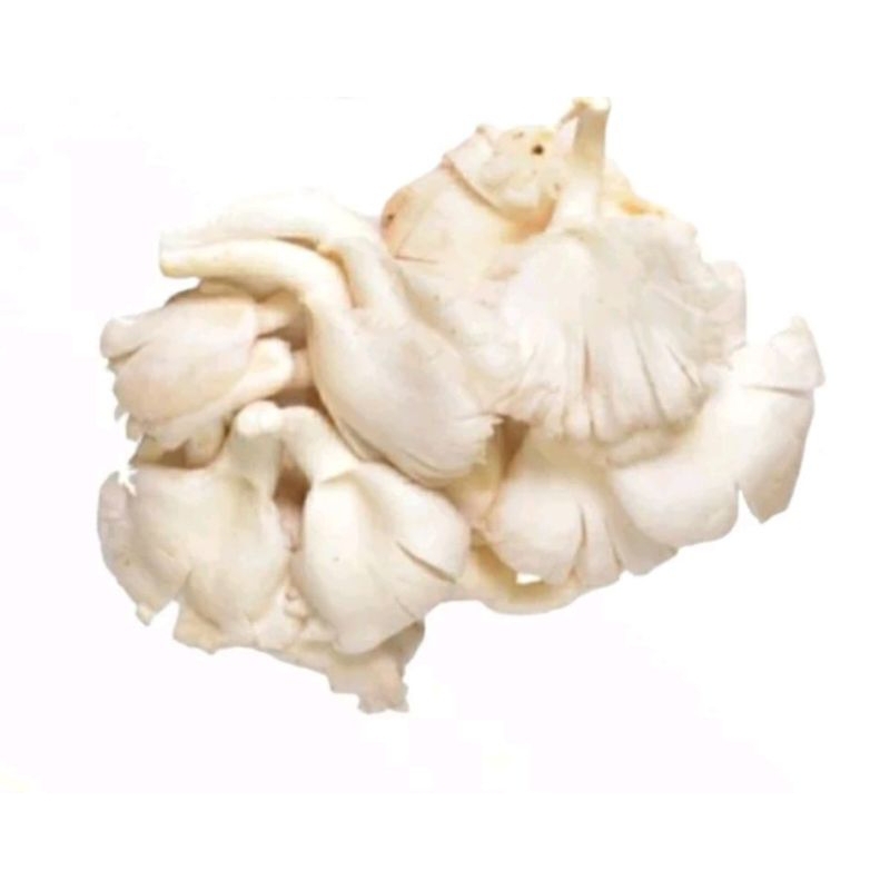 Jual sayur jamur tiram 2 pack | Shopee Indonesia