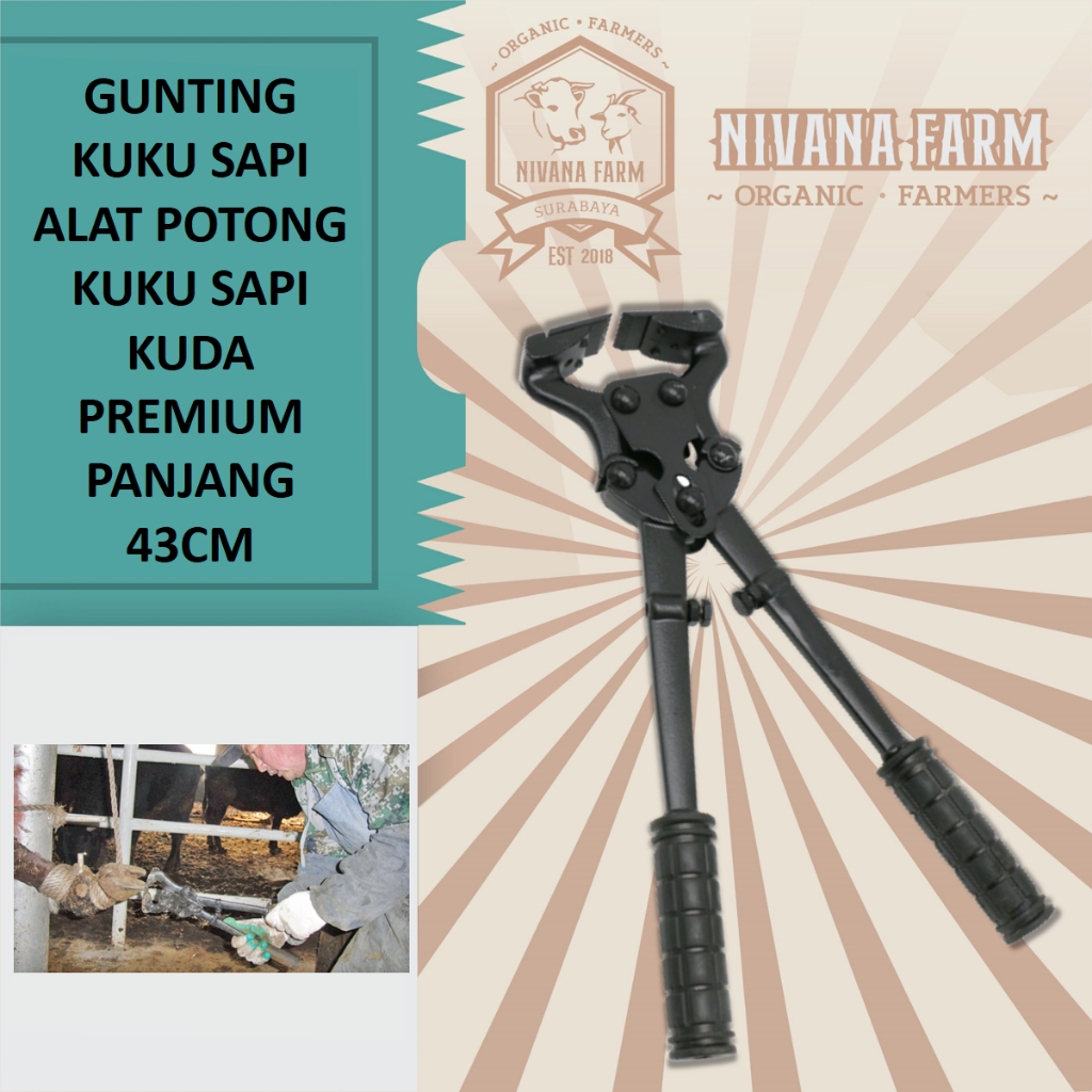 Jual Gunting Kuku Sapi Alat Potong Kuku Sapi Kuda Premium Panjang 43cm ...