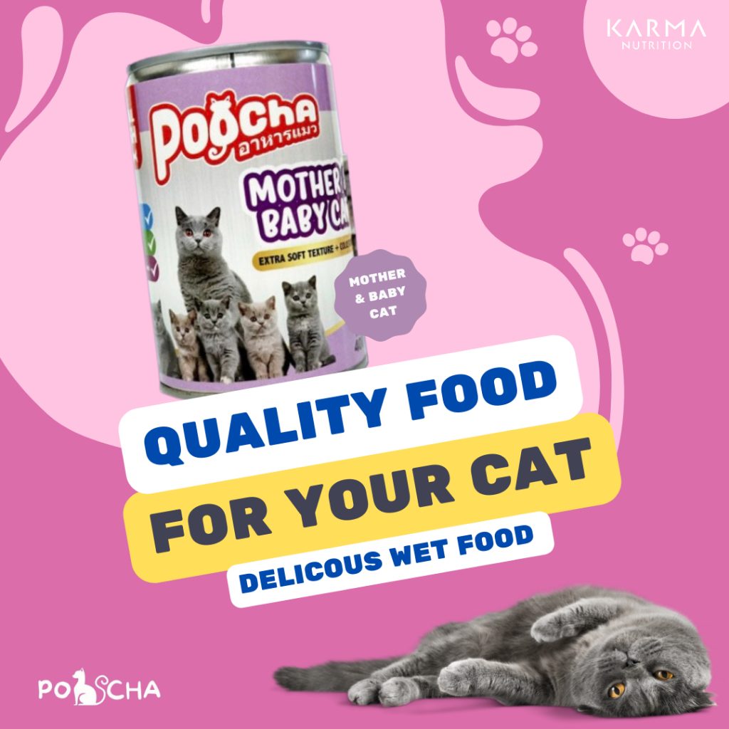 Jual POOCHA CAT FOOD KALENG 400 GR MAKANAN KUCING BASAH MOTHER & BABY ...