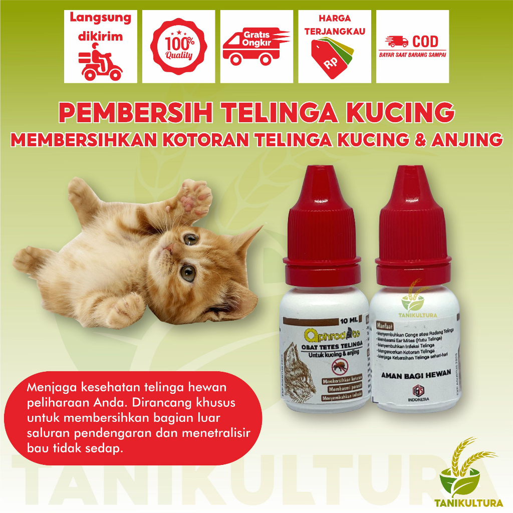 Jual Obat Tetes Telinga Kucing Pembersih Telinga Mengatasi Infeksi ...