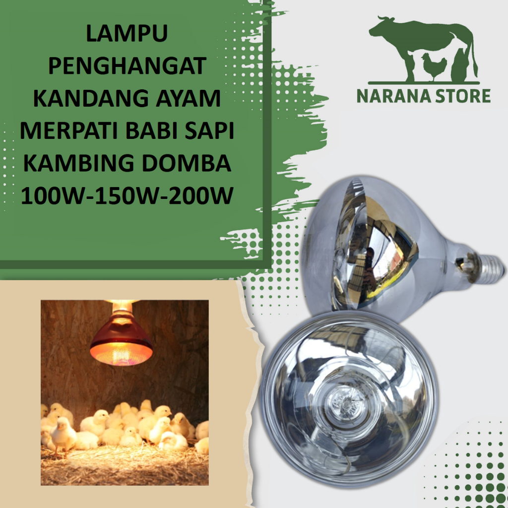 Jual Lampu Penghangat Kandang Ayam Merpati Babi Sapi Kambing Domba 100W ...