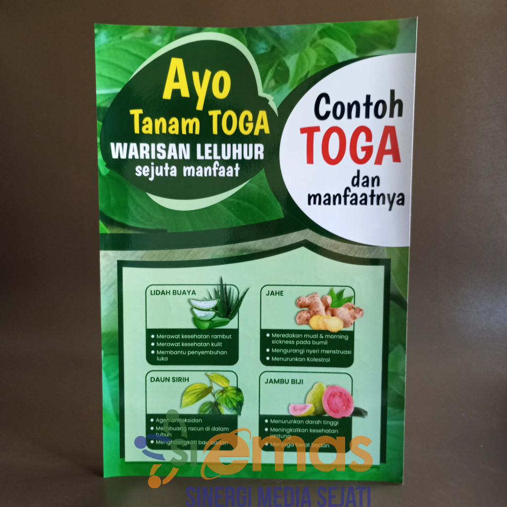 Jual Poster Toga Poster Sekolah Poster Tanaman Obat Keluarga Poster Edukasi Manfaat Toga