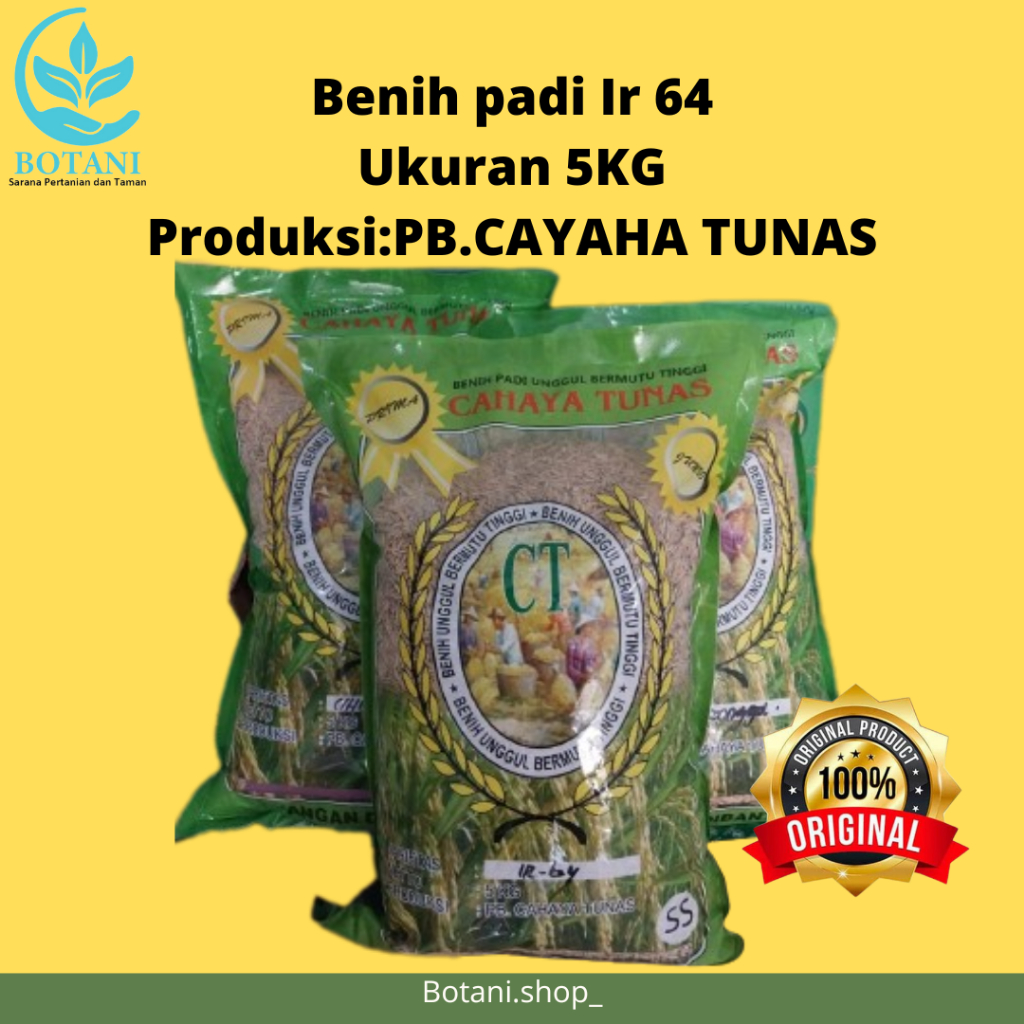 Jual Benih Padi Ir64 Ukuran 5kg | Shopee Indonesia