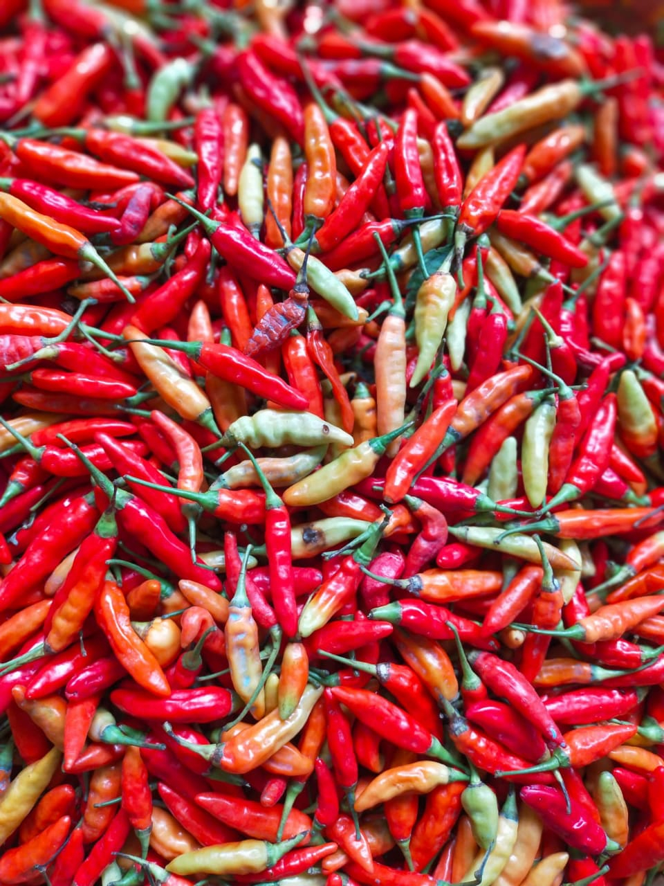 Jual CABAI / CABE RAWIT MERAH / CABAI RAWIT SETAN FRESH 500GR | Shopee ...