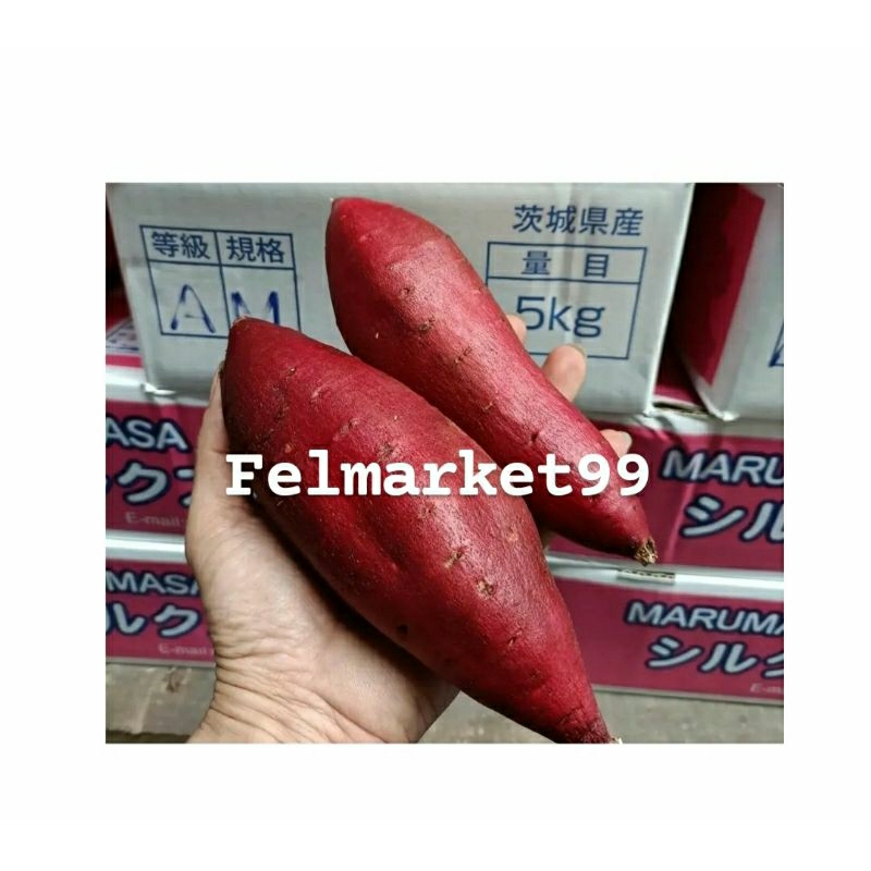 Jual ubi Sweet Potato ibaraki silk japan | ubi jepang original | 1 kg ...