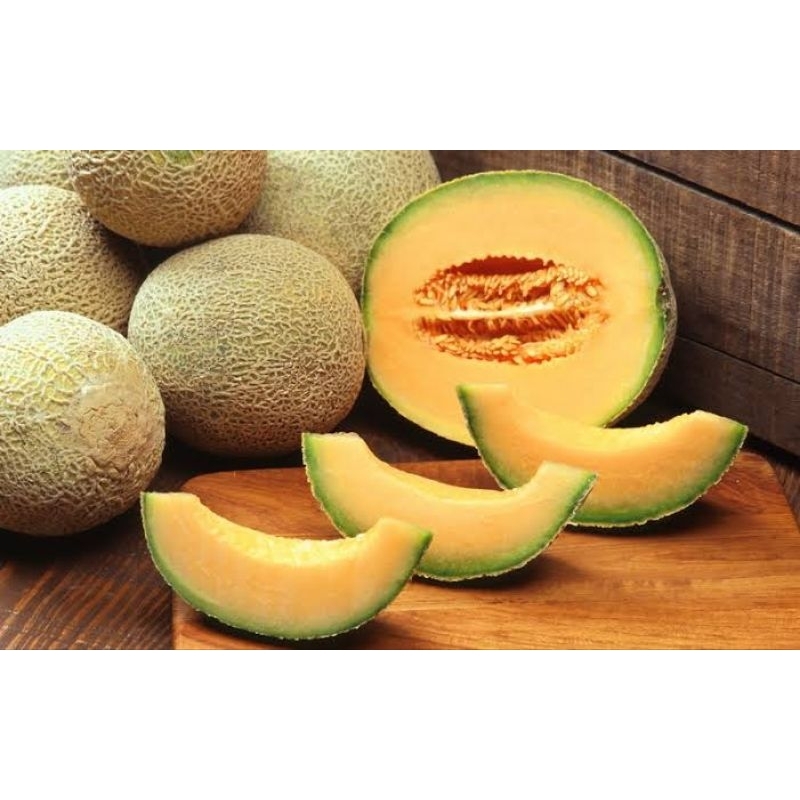 Jual Melon Oren / Putih 1 biji berat sekitar 1kg | Shopee Indonesia