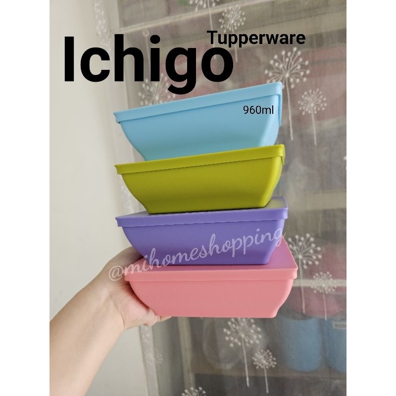 Jual Ichigo 960ml 1PC Tupperware UNGU saja | Shopee Indonesia