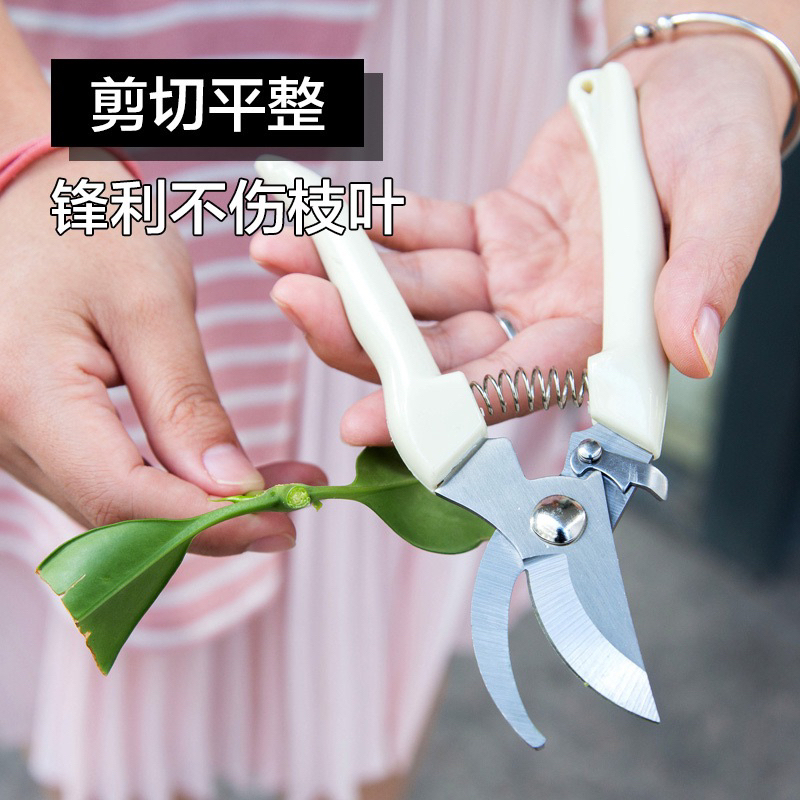 Jual Gunting Dahan | Gunting Ranting Dan Daun Sangat Tajam | Shopee ...