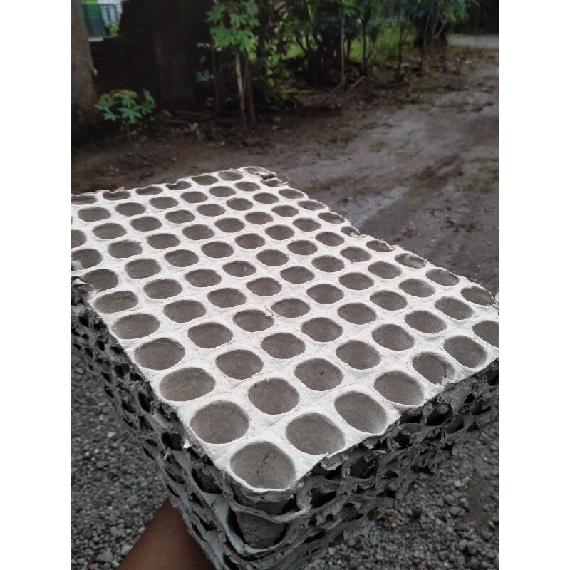 Jual media semai tanaman / tray semai benih 6 Lembar ramah lingkungan ...