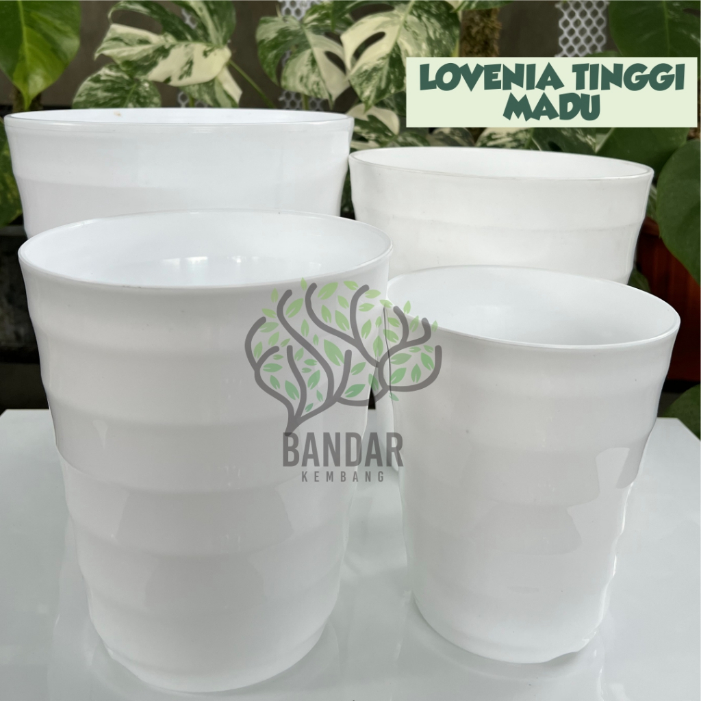Jual Pot Bunga Tinggi Lovenia Madu Ukuran 18 22 27 32 Warna Putih | Pot ...