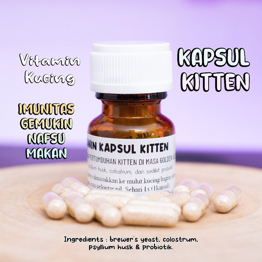 Jual Vitamin Kapsul Kitten (Memaksimalkan Pertumbuhan Kitten di Masa ...