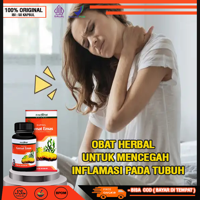 Jual Obat Untuk Mencegah Inflamasi, Kapsul Gamat Emas Untuk Mengobati ...
