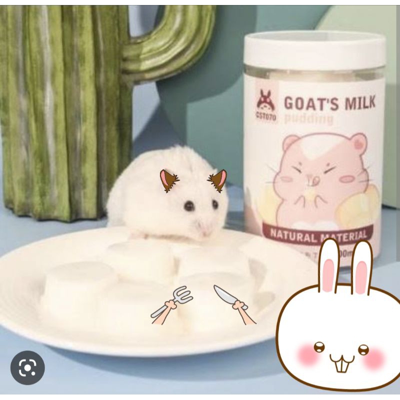 Jual 1 Bh Goat Milk Pudding / Pudding susu kambing Hamster / sugar ...