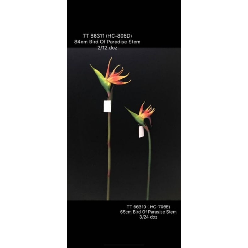 Jual bunga paradise bird atau bunga surga latec super 84cm dan 65cm ...