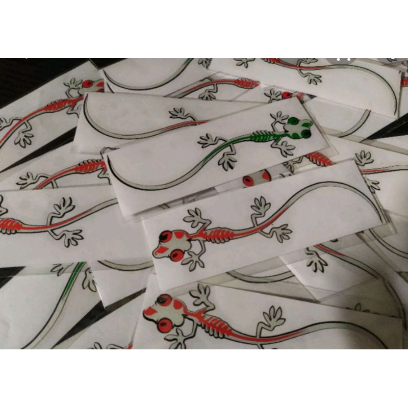 Jual STICKER CICAK TOKE UKURAN 12CM | Shopee Indonesia