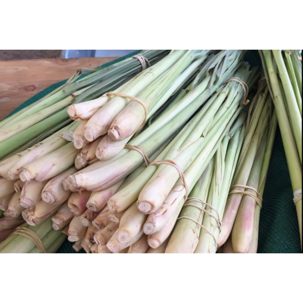 Jual Daun sereh hijau segar / daun serai segar bumbu dapur | Shopee ...