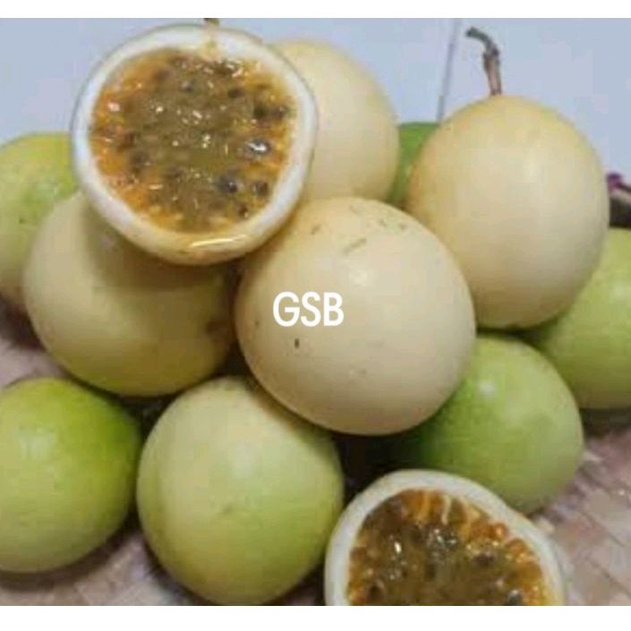 Jual Buah markisa kuning segar 500 gram | Shopee Indonesia