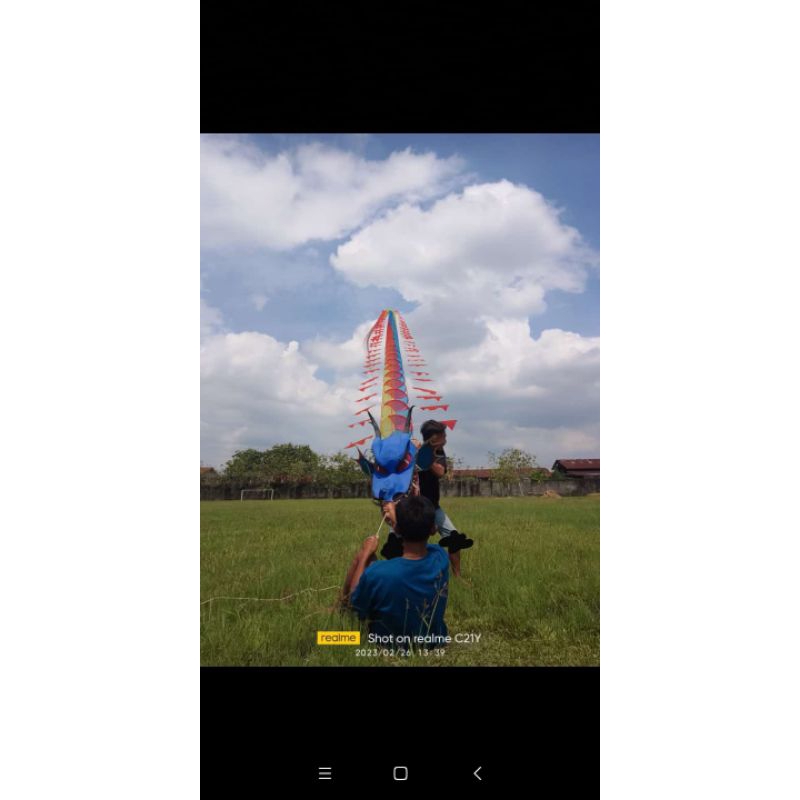 Jual layangan naga pelangi ful fiber fulset | Shopee Indonesia