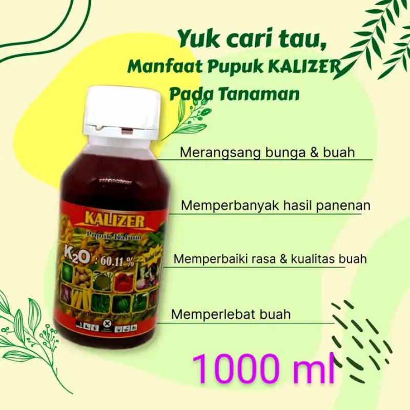 Jual Pupuk Cair Kcl Kalium kalizer K2O 1000ml Untuk Masa Generatif ...