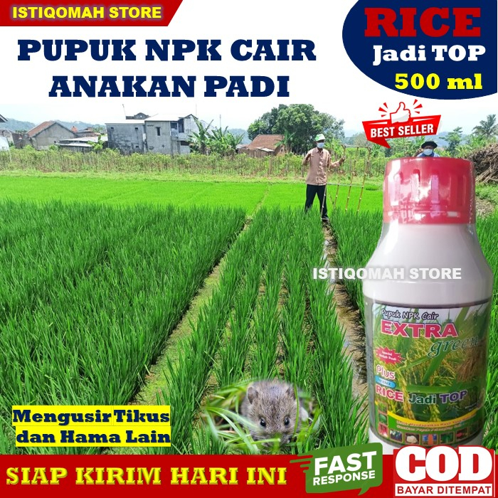 Jual Pupuk Ajaib PERBANYAK ANAKAN PADI RICE JADI TOP 500ML Panen Padi Lebih Banyak Bagus dan ...