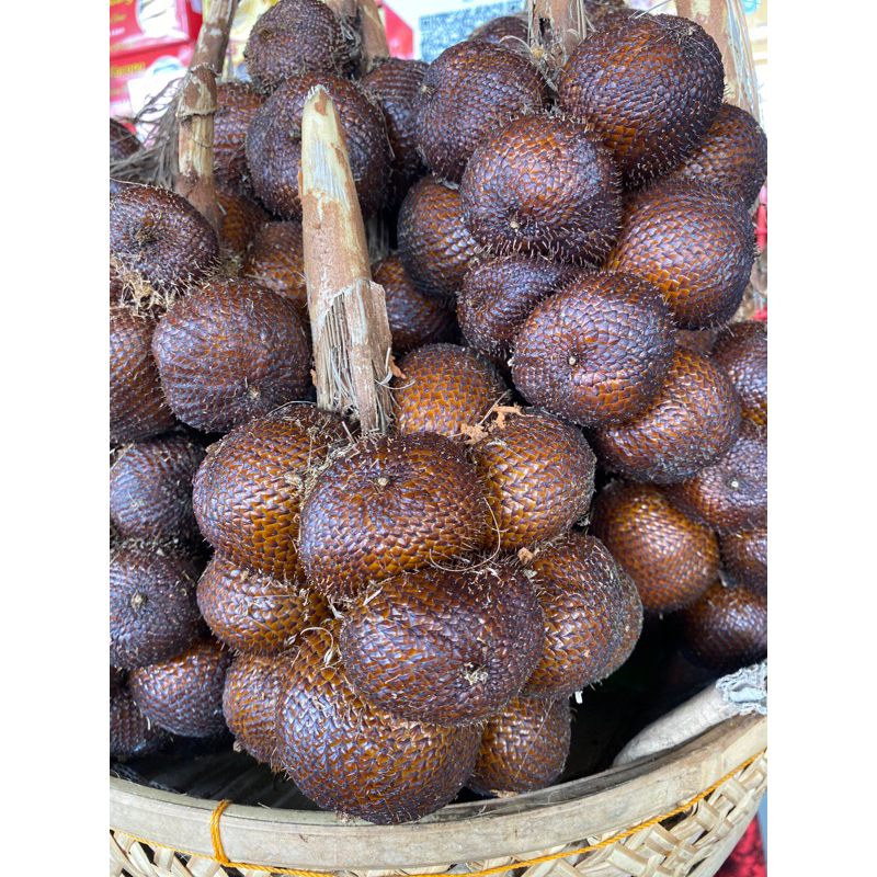 Jual SALAK GULA PASIR MANIS 1kg | Shopee Indonesia