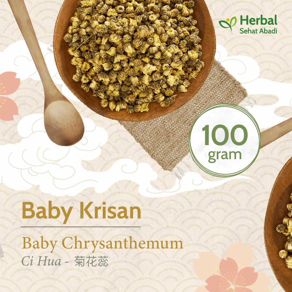 Jual Baby Chrysanthemum 100 gram / Teh Bunga Baby Krisan (菊花蕊) | Shopee ...