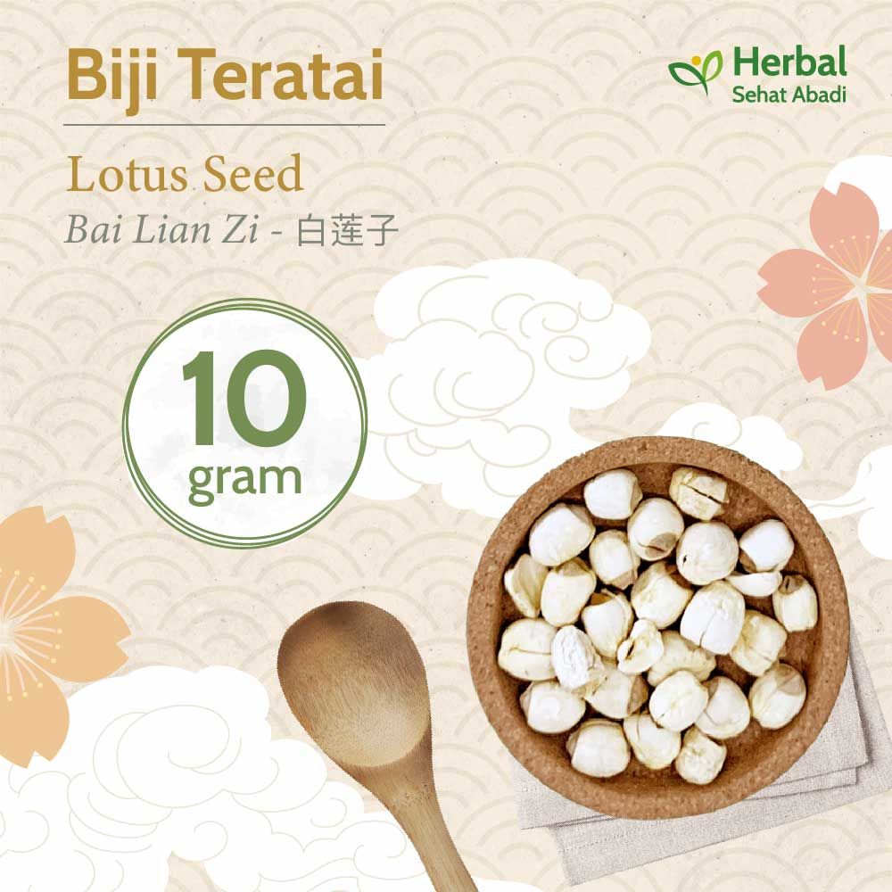 Jual Biji Teratai 10 gram / Lotus Seed / bai lian zi (白莲子 ) / lien ce ...