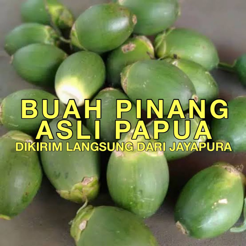 Jual BUAH PINANG ASLI PAPUA 100% - PINANG SAJA | Shopee Indonesia