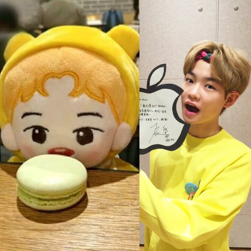 Jual CHENLE DOLL NCT DREAM | Baby Le 20cm | Shopee Indonesia