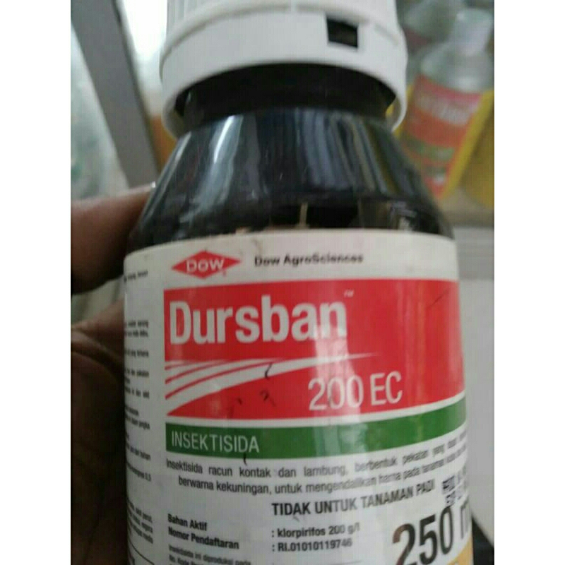 Jual obat pertanian insektisida DURSBAN 250ml | Shopee Indonesia