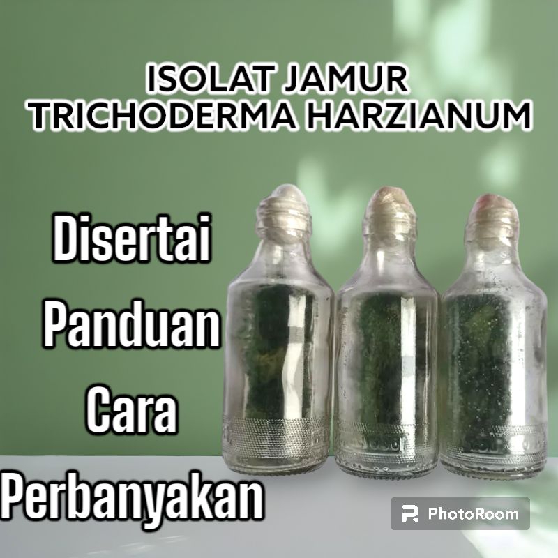Jual Isolat murni F0/Biang/Indukan/ TRICHODERMA HARZIANUM SP | agen ...