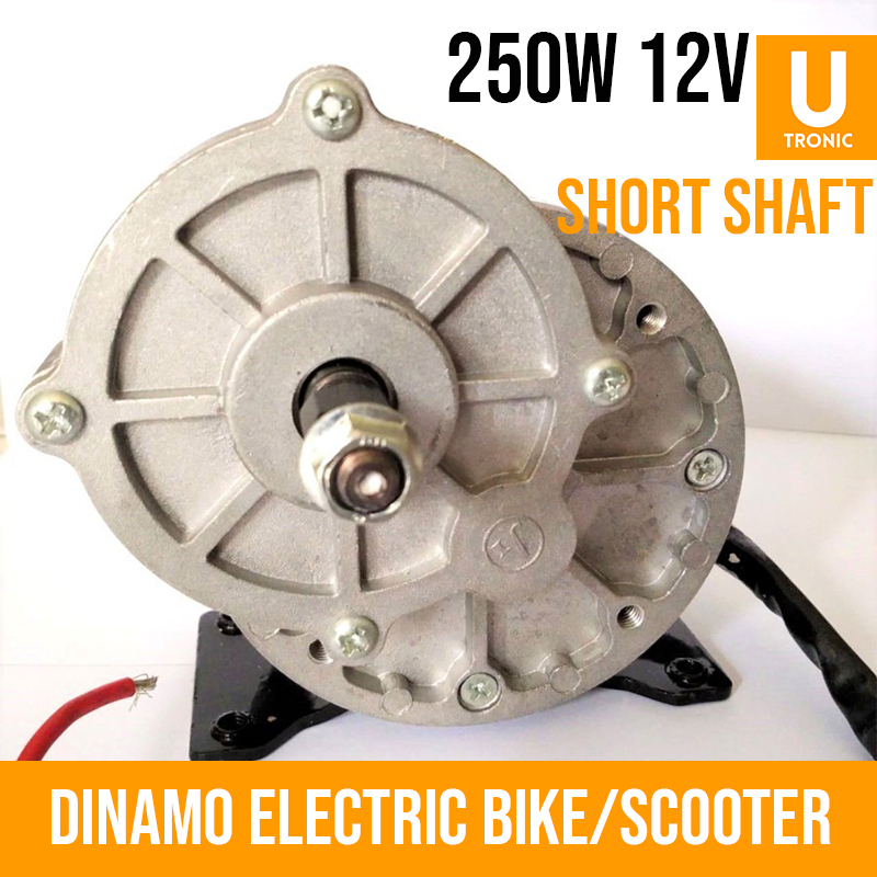 Jual Dinamo Motor For Electric Bike/Sepeda Listrik Short Shaft 250W 12V ...