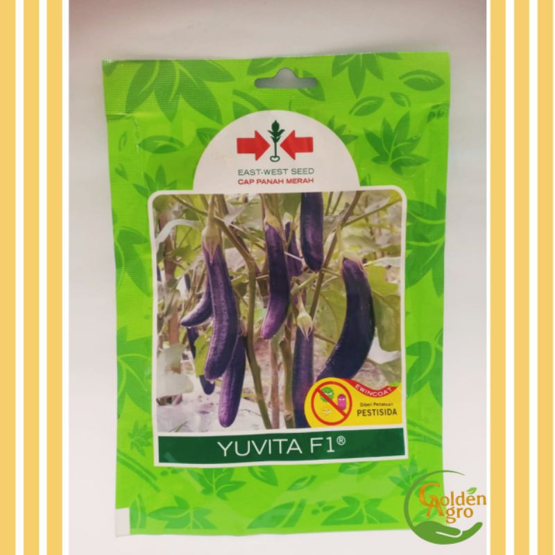 Jual BENIH BIBIT TERONG TERUNG YUVITA F1 PANAH MERAH ANTI VIRUS ISI 400 BUTIR | Shopee Indonesia
