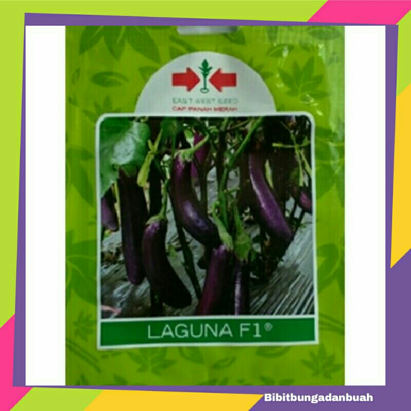 Jual Benih Terong Ungu Laguna F1 1.100 Biji – Panah Merah | Shopee Indonesia