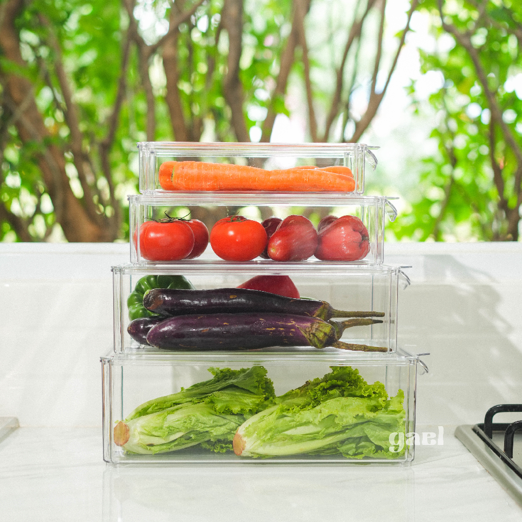 Jual Gael NAMI - Stackable Rectangular Transparent Container Box ...