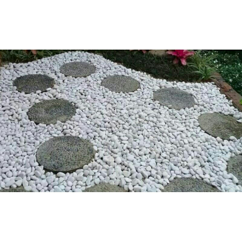 Jual Batu koral kupang 10 kg/1 karung warna putih batu hias batu taman ...