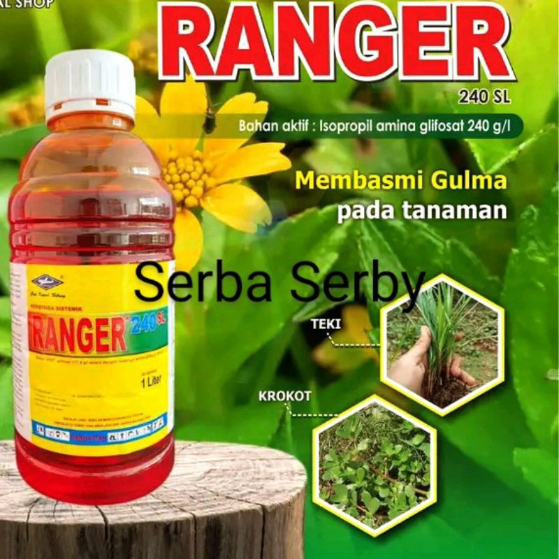Jual Herbisida Sistemik Ranger 240 SL 1000ml Racun Rumput Liar 100%Ori ...