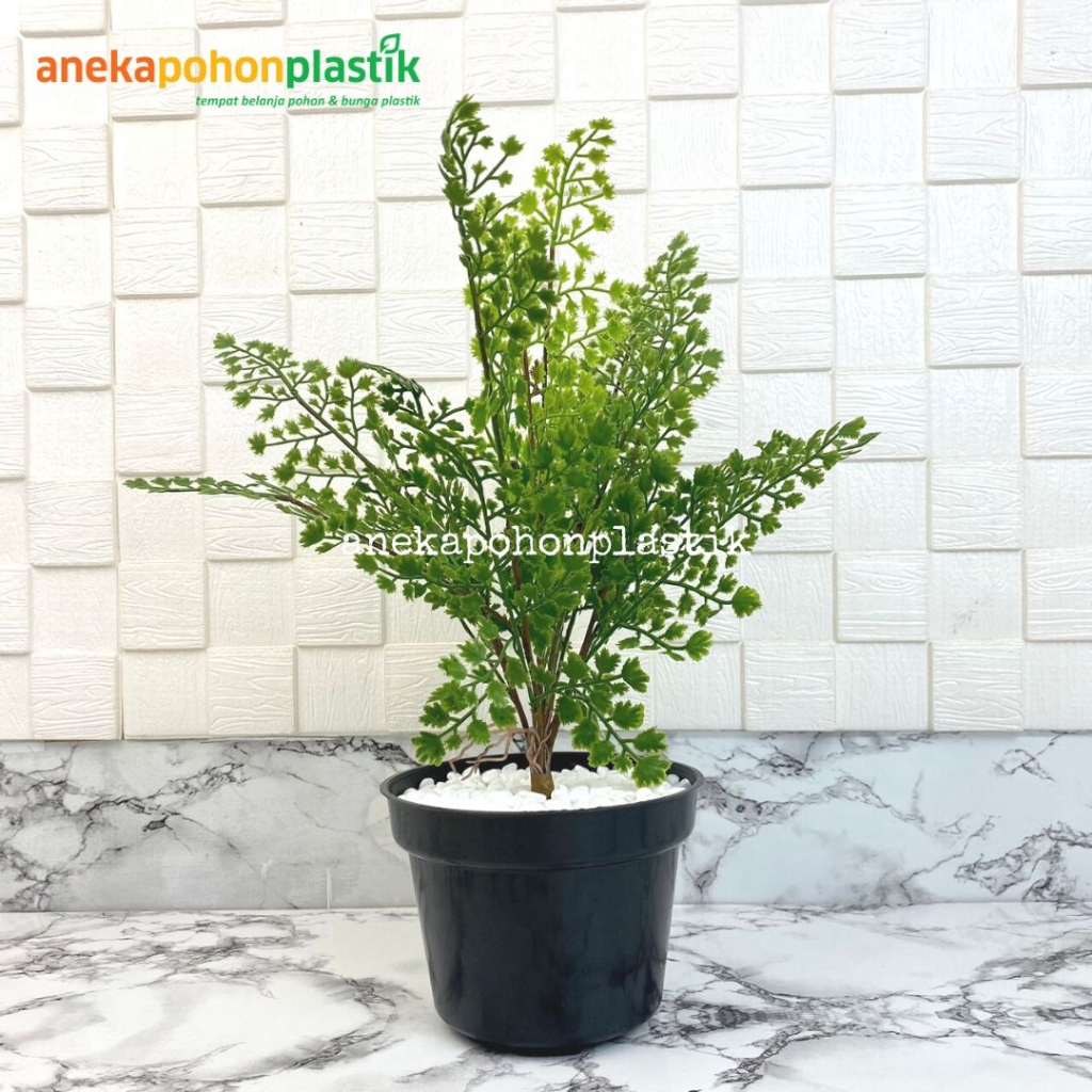 Jual Tanaman Hias Daun Tapak Ikan Pari X1 Latex Artificial Pot Dasar ...