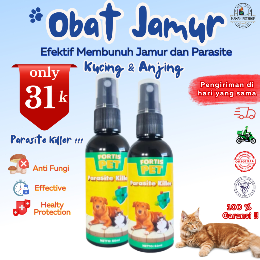 Jual Obat Jamur Scabies Demodex Kudis Koreng Gatal pada Kucing Anjing ...
