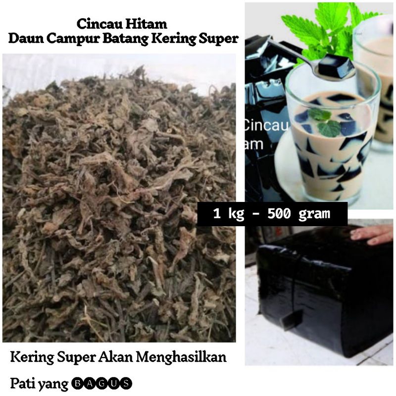 Jual CINCAU HITAM JANGGELAN/ DAUN CAMPUR BATANG KERING SUPER | Shopee ...