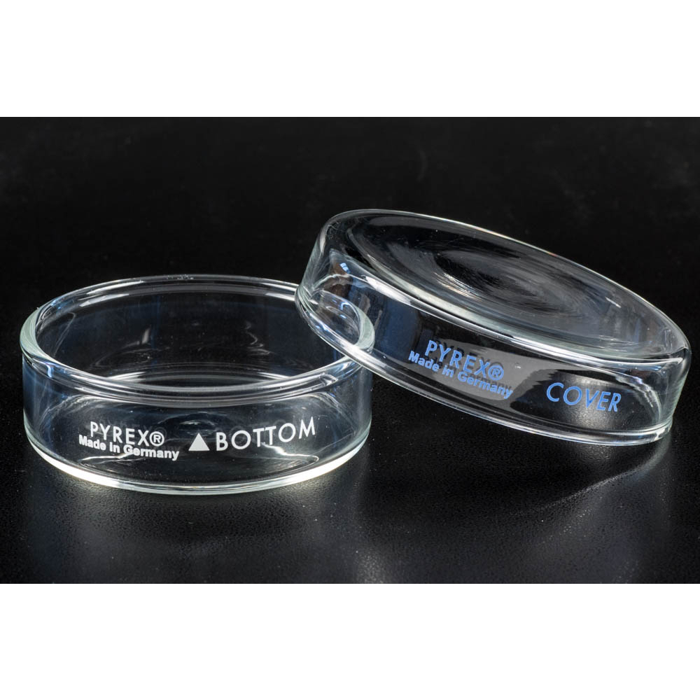 Jual Petri Dish PYREX 100 x 15mm Cawan Petri | Shopee Indonesia