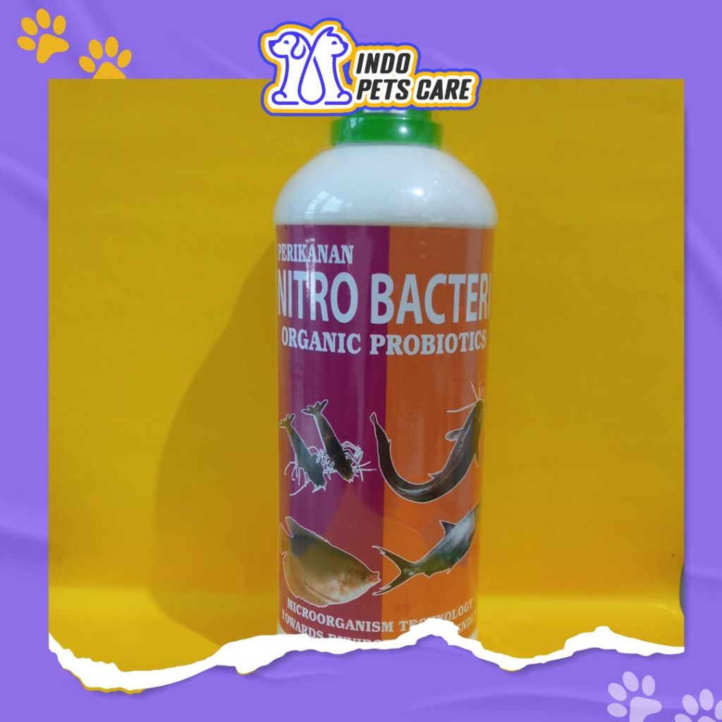 Jual OBAT PROBIOTIK IKAN - NITROBACTER 1000ML ORIGINAL - MENURUNKAN PH ...